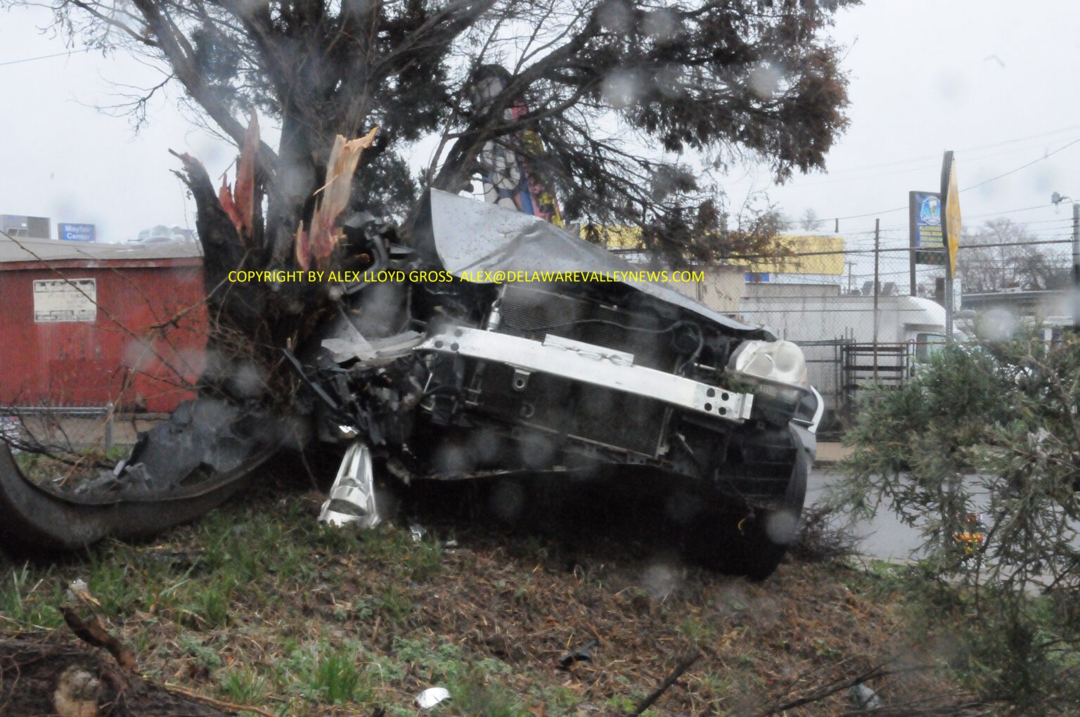 Errant Driver Slams Car Into Trees and Almost Hits House In Mayfair ...